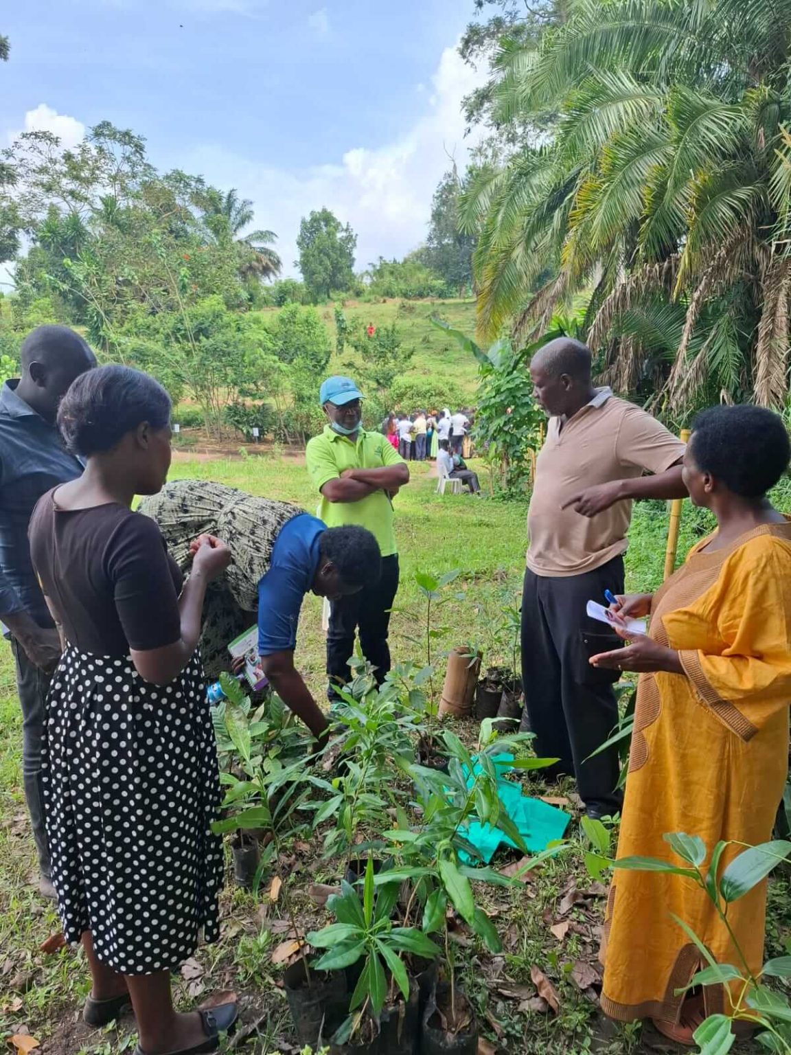 Ndejje University Completes 3-Week Complementary Medicine Training ...